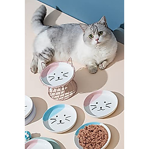 Ceramic Shallow Cat Food Dish, Cat Wet Food and Raw Meat Flat Cat Bowls; Stress Relief of Whisker Fatigue Cat Dishes, Wide Plate for Kittens Small Animals and Short Legged Munchkin Cat Set of 2
