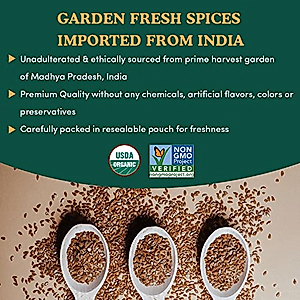 SPICE TRAIN, Organic Flax Seed with Omega3 (397g/14oz) USDA Certified, Non-GMO, Flaxseed for Flax meals & Drinks | Resealable Zip Lock Pouch | 100% Raw Flax Seeds Sourced from India | Brown Flax Seeds