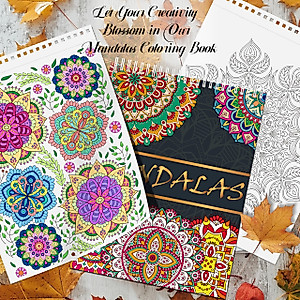 Elfew 2 Pack Mandalas Coloring Books for Adult, 80 Original Mandala Patterns and Designs, Coloring Book for Adults Relaxation, Adult Coloring Book Spiral Bound, Relaxation Books for Women