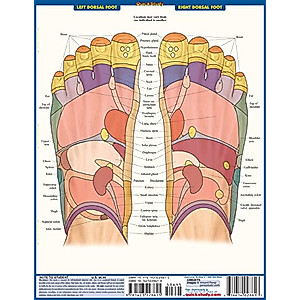 Reflexology QuickStudy Laminated Reference Guide (QuickStudy Academic)