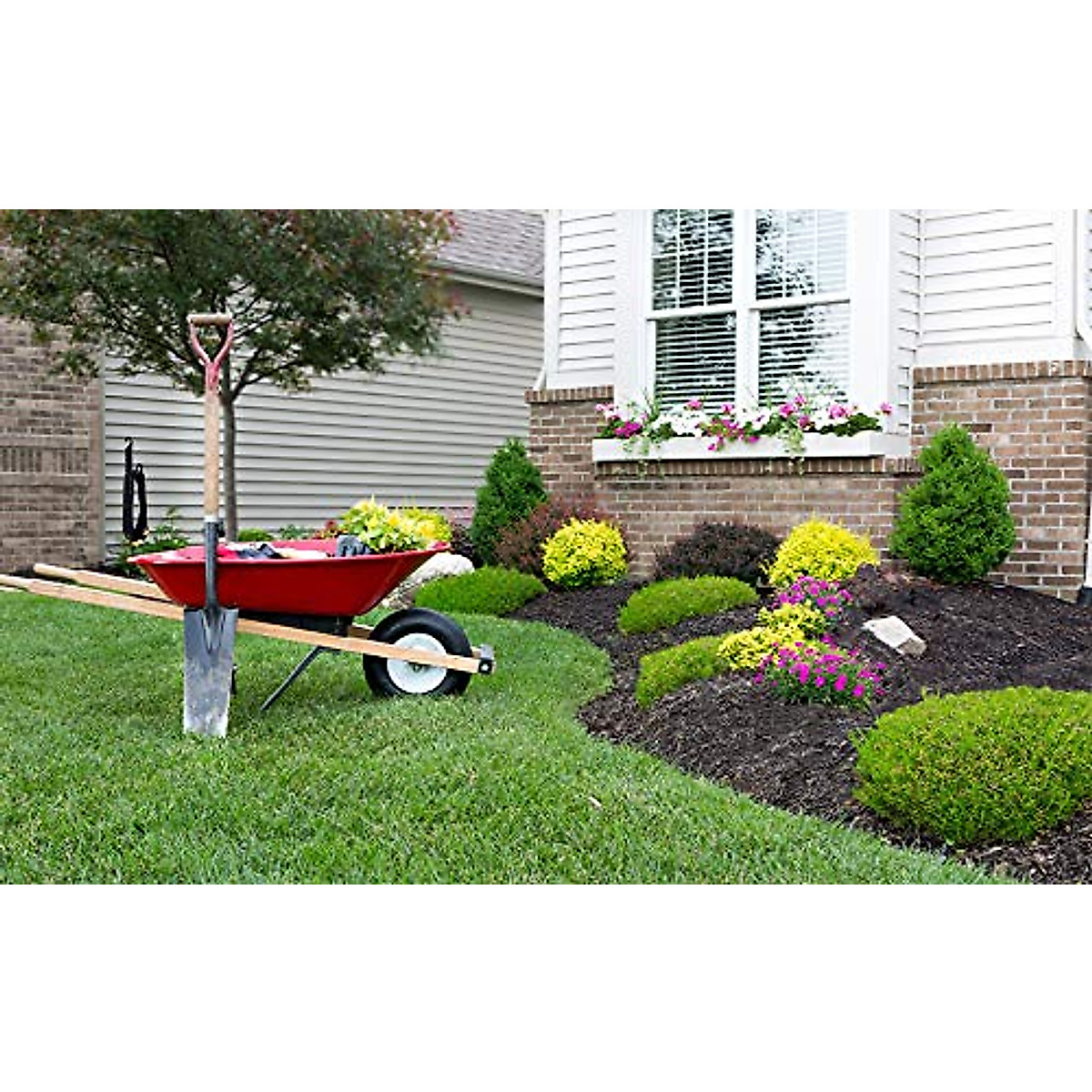 Morvat Premium 150 Ft Hose Hanger with Rust Resistant Metal, Organize Your Garden, Garage & Outdoor Storage Area, Wall Mount Holder or Hang/Hook Over Water Spigot with Included Screws