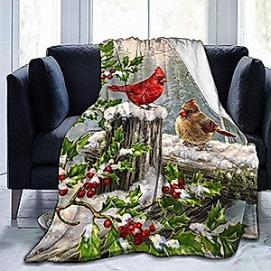 Blanket Red Christmas Birds Throw Blanket Ultra Soft Velvet Blanket Lightweight Bed Blanket Quilt Durable Home Decor Fleece Blanket Sofa Blanket Luxurious Carpet for Men Women Kids