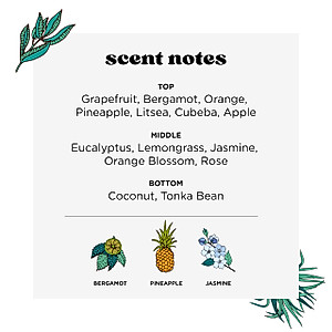 Poo-Pourri Before-You-Go Toilet Spray, Fresh Air, 2 Fl Oz - Jasmine, Fresh Air and Mint