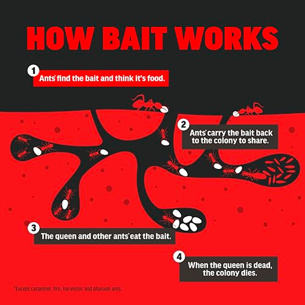 Amdro Ant Killer Bait Stations 4 PK