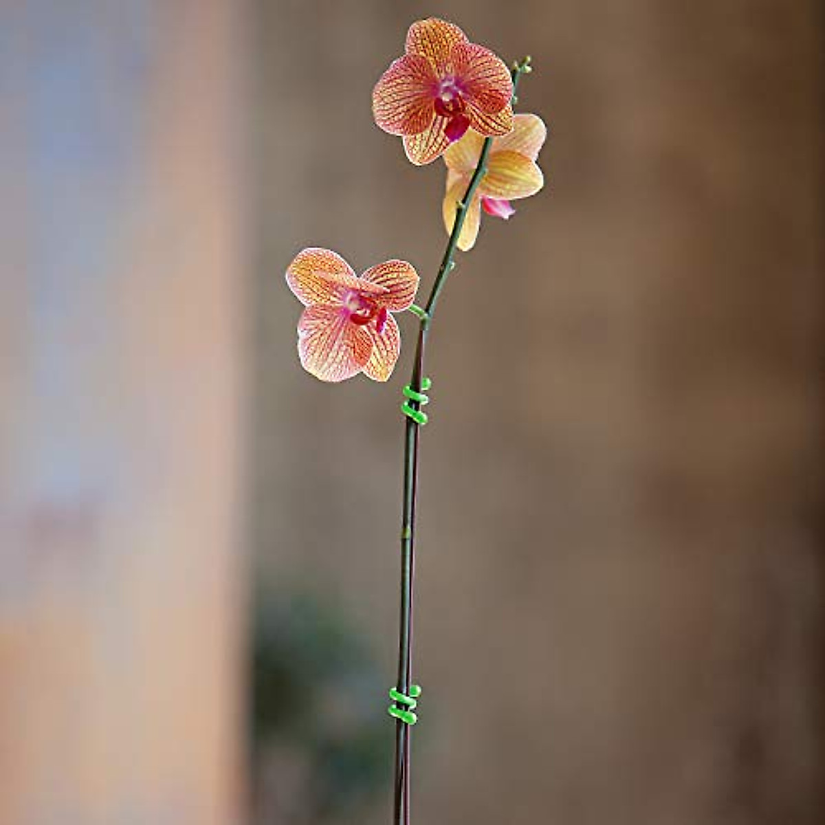 Nite Ize GT3-4PK-A1 Original Gear, Reusable Rubber Twist Tie, Made in The USA, 3-Inch, 3" - 4-Pack, Colors May Vary, 4 Count