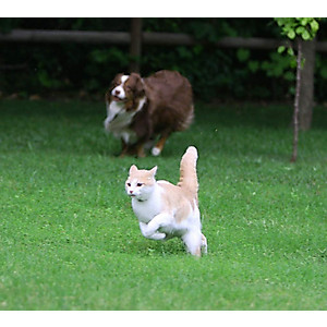 veterinary recommended joint supplement for cats - PET HIP AND JOINT COMPLEX - DOGS AND CATS - NATURAL VET APPROVED FORMULA - IMMUNE BOOST - GOOD FOR STIFF JOINTS - cat vitamin chews - 2 Bottles (240