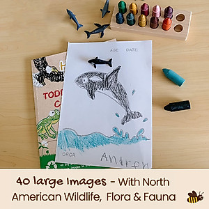 Honeysticks 100% Pure Beeswax Crayons Natural, Non Toxic, Safe for Toddlers, Kids and Children, Handmade in New Zealand, For 1 Year Plus (12 Pack with Book) Best Gift