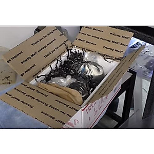 Live Mosquitofish Trumpet Snails Freshwater Aquarium Pond Crayfish Craydad Feeders Fish Food Combo Value Pack