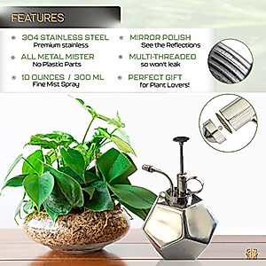 Stainless Steel Plant Mister Sprayer - metal plant mister spray bottle for succulents bonsai, air plants, indoor outdoor Silver spritzer pump for spraying moss orchid flowers herb gardens, terrariums