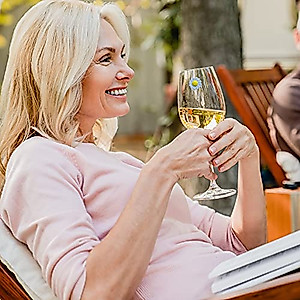 Simply Charmed Gnome Wine Glass Charms - Magnetic Drink Markers with Flower, Bee and Frog - Set of 6 Stemless Glass Identifiers