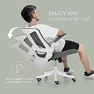 Eognyzie Home Office Desk Chairs with Ergonomic Adjustable Back Support, Mesh Computer Gaming Chair with Adjustable Ergonomic Lumbar Support for Home Office Work