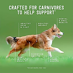 ZIWI Peak Air-Dried Dog Food – All Natural, High Protein, Grain Free and Limited Ingredient with Superfoods (Beef, 2.2 lb)