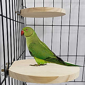 kathson Wood Bird Perch Wooden Parrot Stand Toy Parakeet Standing Platform Chew Toys Natural Cuttlebone Paw Grinding Stick Cockatiels Cage Accessories Exercise Toy for Conures Budgies Lovebirds 5PCS