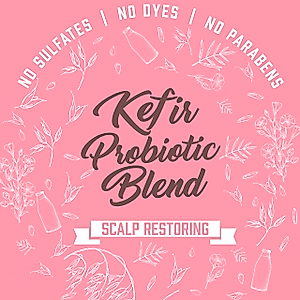 Aveeno Kefir Probiotic Blend Shampoo, 12oz