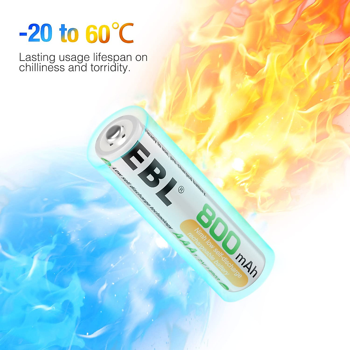 EBL 12 Counts Ni-MH Rechargeable AAA Batteries 1.2V Pre-Charged with Storage Box(800mAh)