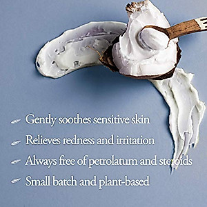 Wash with Water Plant Therapy Vegan Anti-Wrinkle Face & Body Butter Creamy Moisturizer with Enhanced Hydration and Antioxidant Support For All Skin Type, Petroleum Free, Steroid Free, 7oz, Unscented