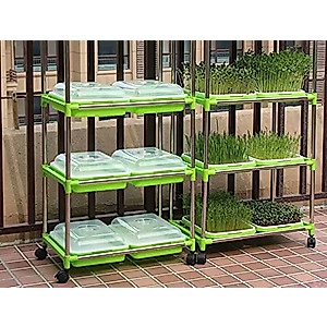 JMESTOHP 3 Layers Seed Sprouting Kit for Seed Sprouter Tray BPA Free for Alfalfa Sprouts Wheatgrass Grower Sprouting, Stainless Steel Shelf for Seed Sprouting Tray