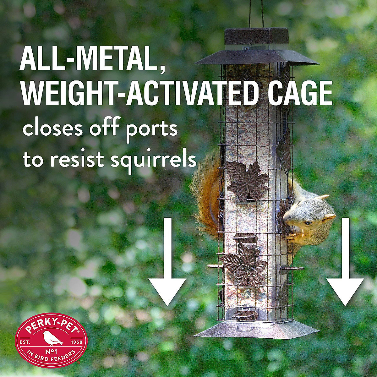 Perky-Pet 336-1SR Squirrel-Be-Gone Bird Feeder, 2LB Squirrel Proof Outdoor Wild Bird Feeder with Weight-Activated Perches