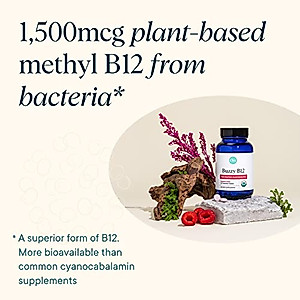 Ora Organic Vitamin B12 1500mcg - plant-based methylcobalamin for adults - Natural stimulant-free energy, Raspberry flavor chewable tablets, no added sugar - 30 tablets