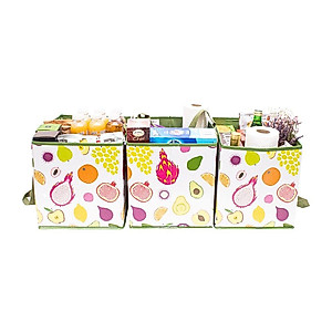 PLANET E Reusable Grocery Shopping Box Bags - Premium Quality Heavy Duty Tote Set with Reinforced Bottom | Folding, Collapsible, Durable and Eco Friendly (3 Pack - 3 fruits), Large