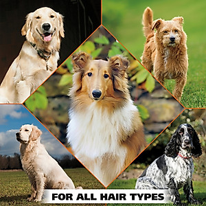 Wahl USA Pet Refresh Cleaning Wipes for All Dog Breeds - Use on Ears, Nose, Paws, Bottom, & Sensitive Areas - 50 Wipes - Model 820017A