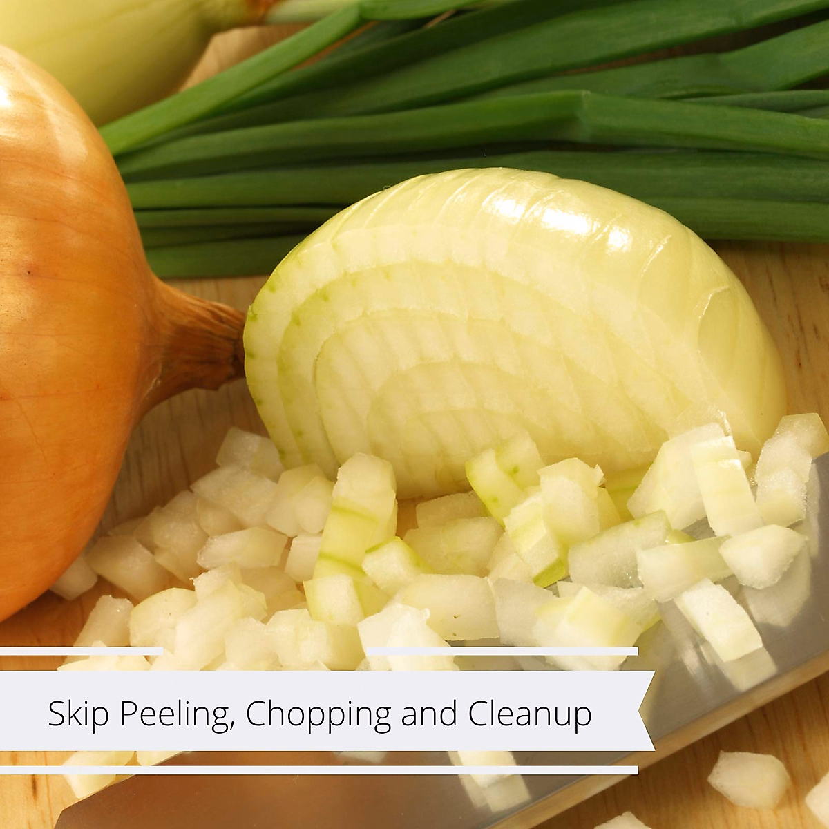 Gourmet Toasted Minced Onion by It’s Delish, 1 lb (16 Oz Bag) – All Natural Premium & Fresh Dry Roasted Chopped Onion for Cooking, Baking, Seasoning, Topping – No Preservatives, No artificial Flavor Added, Vegan, Certified Kosher