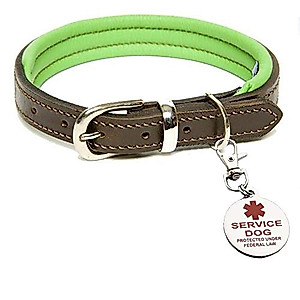 Service Dog Tag Double Sided Federal Protection with Medical Alert Symbol | Includes Five Service Dog Law Cards | Attaches to Collar Harness Vest Dog Service Tag