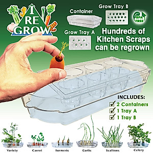 Indoor Gardening System/Small/No Electricity Needed/All Year Round/Hydroponic Growing The Easy Way/Propagate-Regrow in Your Kitchen/I Re Grow