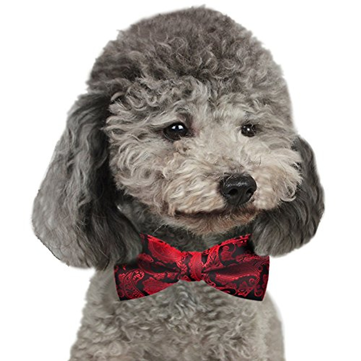 YOY Handcrafted Adorable Pet Bow Ties - 6-pack Adjustable Neck 11"-20" Paisley Bowties Dog Collar Neckties Kitty Puppy Grooming Accessories for Doggy Cat, 6 Colors