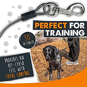 Mighty Paw Cable Tie Out for Dogs | 30’ Braided Steel Black Tieout. Chew Proof Lead for All Sized Pets. Great for Yard, Camping, and Outdoors. an Off-Leash Feel with Total Control (1/8", Up to 60lbs)