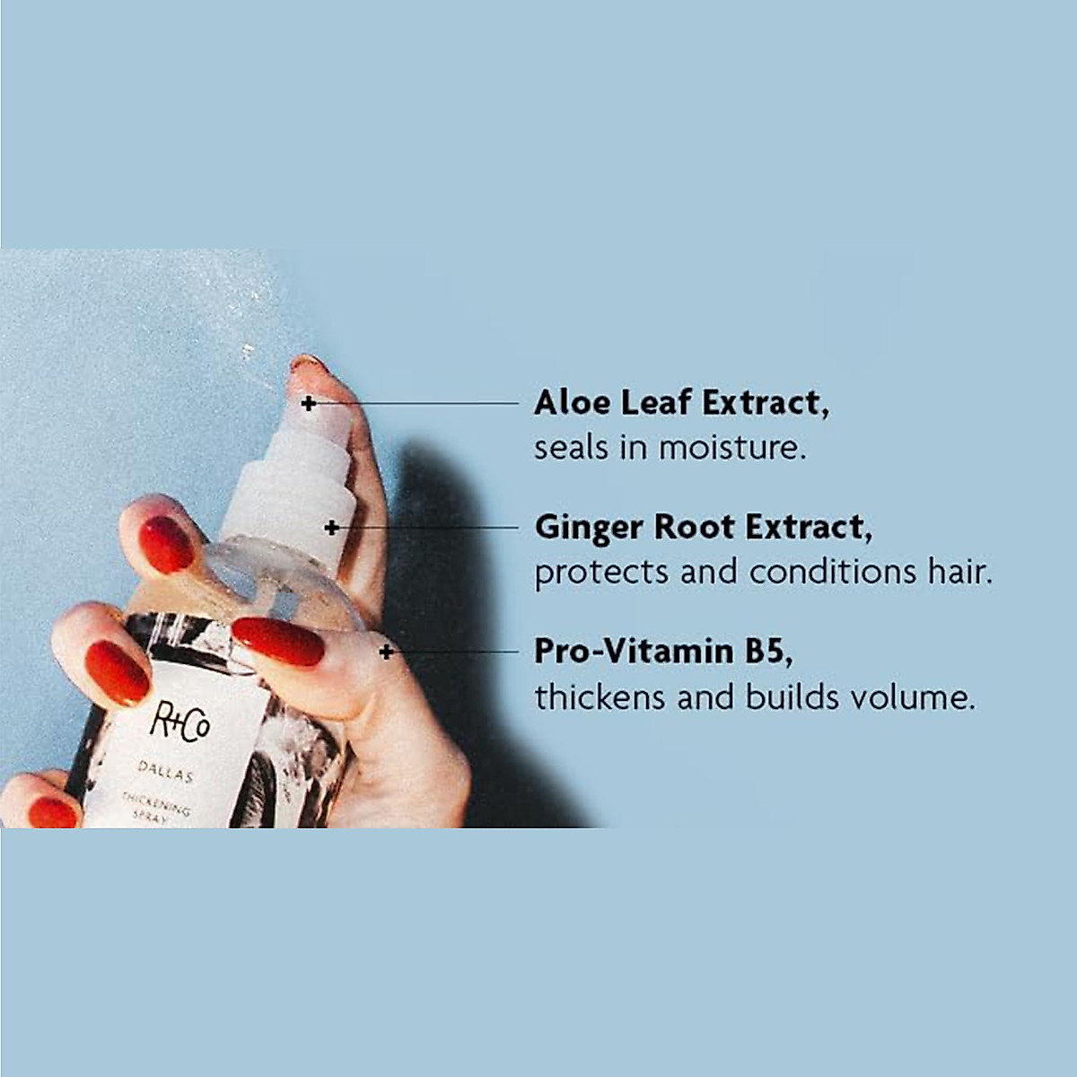 R+Co Dallas Hair Thickening Spray | Volumizing & Texturizing Spray for All Lengths | Adds Volume, Body & Shine | Perfect for Blowouts, Curling Irons & Roller Sets | 8.5 oz