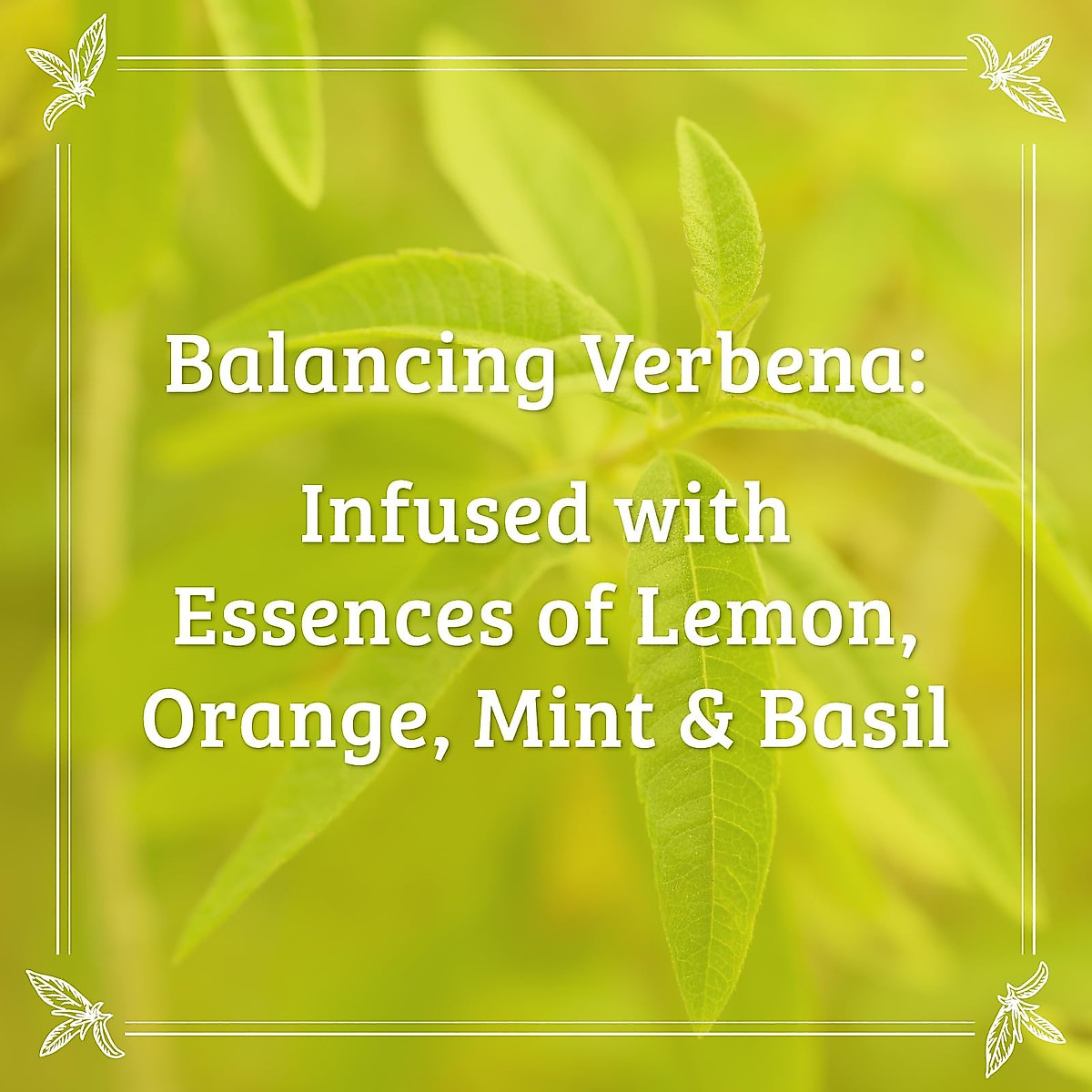 Pharmacopia Verbena Shampoo & Conditioner Bundle – Aromatherapy Hair Care with Natural Plant Based & Organic Ingredients – Vegan, Cruelty Free, No Parabens or Sulfates, Set of 2 16oz Bottles