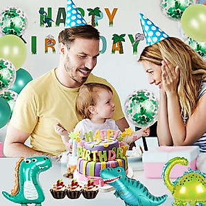 Dinosaur Birthday Decorations Cute Dinosaur Balloon Dinosaur Birthday Party Supplies Happy Birthday Banner Confetti Green Latex Balloon Baby Shower Decorations Boys and Girls LilyZheng