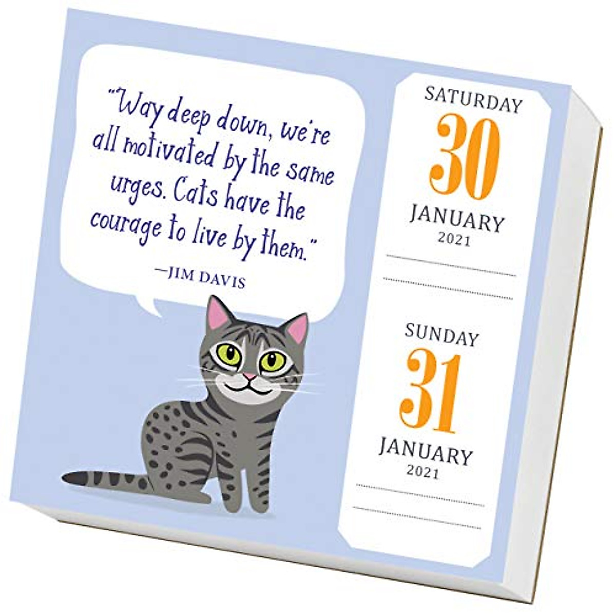 A Year of Cat Trivia Page-A-Day Calendar 2021