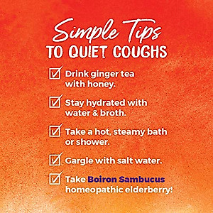 Boiron Sambucus Nigra 6C Homeopathic Elderberry Medicine for Relief of Painful Cough, Hoarsness, Nasal Congestion, and Loss of Voice - 3 Count (240 Pellets)