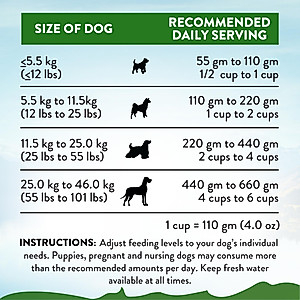 Addiction Zen Vegetarian Dog Food & Awesome Pawsome Super Pumpkin Vegan Treats Bundle, Plant-Based Dog Food and Treats, Made in New Zealand, for Sensitive Dogs