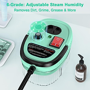 AUXCO Steam Cleaner, 1200ml High Pressure Steamer for Cleaning Handheld Steam Cleaner for Home,High-Temperature Steamer Cleaner for Car,Upholstery,Kitchen, Bathroom, Carpet，Grout and Tile(Mint)