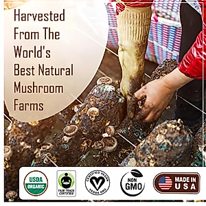 La Republica Organic Mushroom Coffee (30 Servings) with 7 Superfood Mushrooms, Great Tasting Arabica Instant Coffee, Includes Lion's Mane, Reishi, Chaga, Cordyceps, Shiitake, Maitake, and Turkey Tail