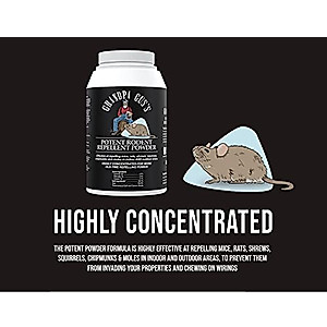 Grandpa Gus's Potent Rodent Repellent Powder Concentrate, Deters Rodents/Mice/Rats from Farm/Home/Garden/RV/Boat/Car/Garage & Chewing on Wires, 24 oz