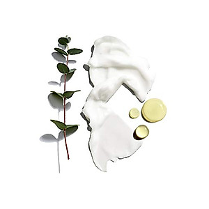 Jack Black Beard Lube Conditioning Shave, 6 Fl Oz (Pack of 1)