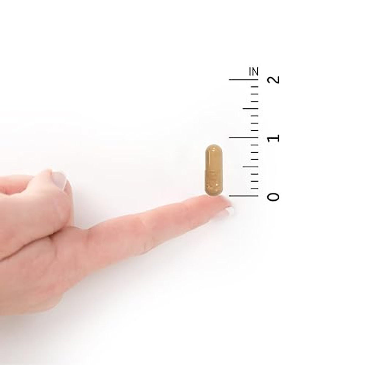 Garden of Life - Raw Probiotics Vaginal Care (Veggie Caps) - 30 Vegeterian Capsules