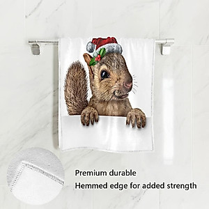 Tamniee Christmas Squirrel Hand Towels Santa Clause Hat Holly Berries Decor Kitchen Dish Towel Quality Premium Bathroom Washcloth 30 x 15 Inches for Beach Guest Hotel Spa Gym Sport Yoga Home