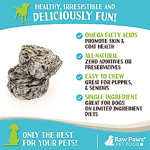 Raw Paws Cod Skin Rolls for Dogs, 5-oz – Icelandic Cod Skins for Dogs - Fish Skins for Dogs - Fish Skin Chews for Dogs - Cod Skin Dog Treats - Cod Treats for Dogs - Dried Fish Dog Treats - Fish Treats