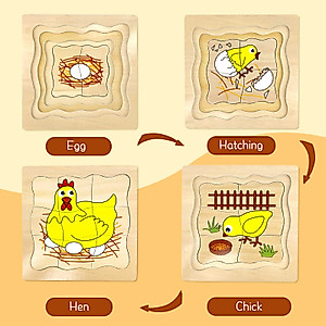 Montessori Wooden Puzzles for Kids Ages 4-8, 4 Layer Life Cycle Jigsaw Puzzle for Toddlers, Children Preschool Learning Educational Puzzles Toys for Boys and Girls (Chicken)