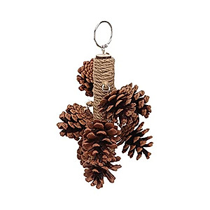 GLOGLOW Birds Bite Toy ，Parrots Chewing Toy Wooden Pine Cone ing Parrots Beak Grinding Toy with Metal Hook for Cage