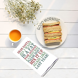 G2TUP Funny Christmas Santa Kitchen Towel, Dear Santa All I Want is A Fat Bank Account & Skinny Body Dish Towel, Christmas Decor White Hand Towel, Housewarming Gift (Dear Santa KT)