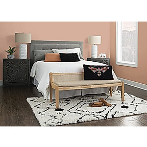 Powell Kasi Beige Rattan Cane Bench with Back, Large, Natural