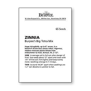 Burpee Big Tetra Mix Zinnia Seeds 65 seeds