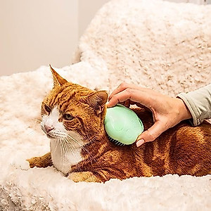 Tangle Teezer Cat Teezer | Small, De-Shedding Cat Hair Brush | Gentle, Soothing Brush for Cats | Green