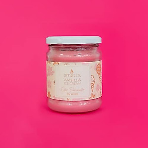 Smells - Odor Eliminator - Premium Soy Wax Jar Scented Candle 12oz. - 100% Cotton Single Wick - Fragranced Candles That Eliminates Odors: Food, Pets, Smoke and Others (1-Pack, Vanilla Ice Cream)